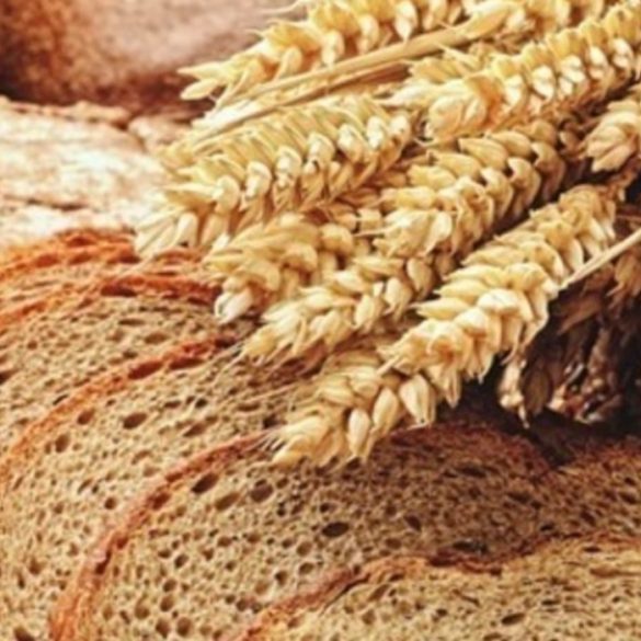 Everything You Need to Know About Spartan Bee Bread