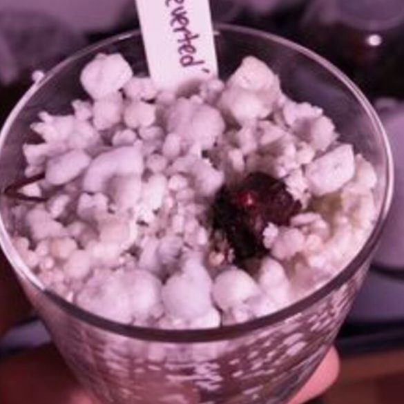 Top 8 Best Pickle Juice Cocktail Recipes That You Need