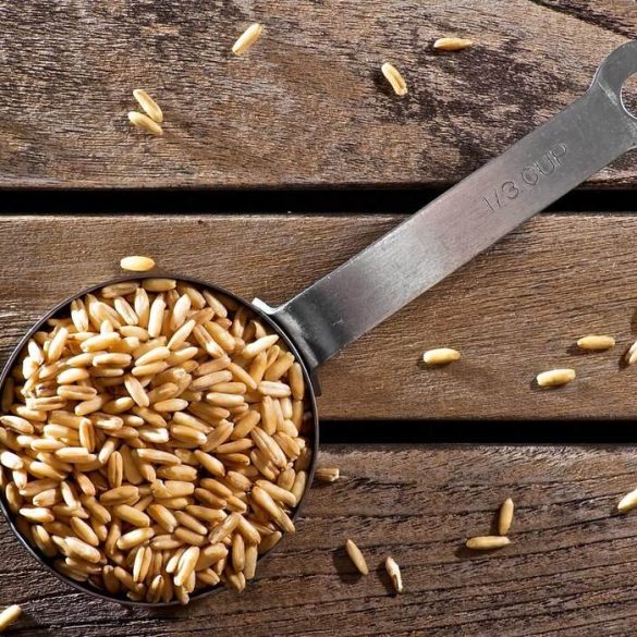 High Protein Rice - Lifestyle Foodies🍎