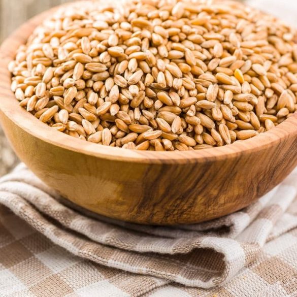 The Best Rice Noodle Roll Recipe - Lifestyle Foodies🍎